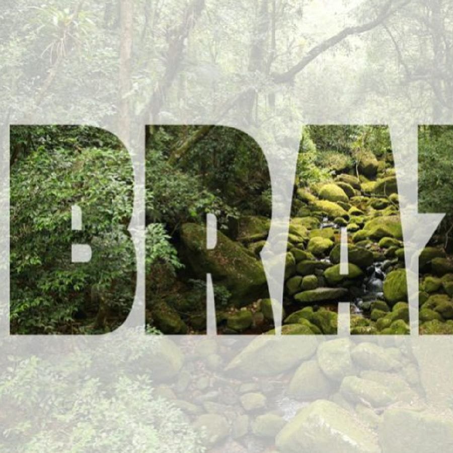 Blog: Brazilian life and values by M A N G O
